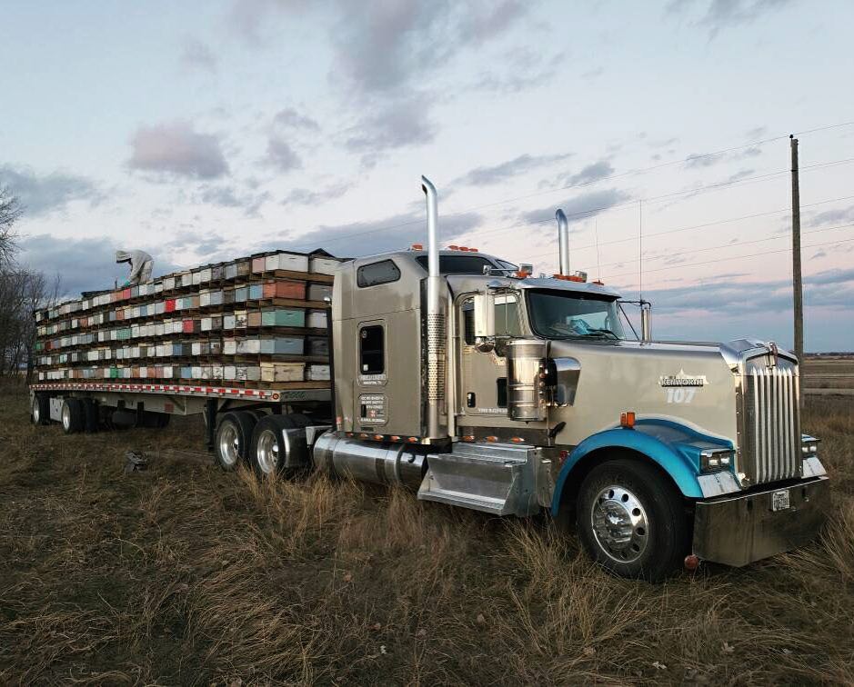 Advice From Beehive Transport Drivers