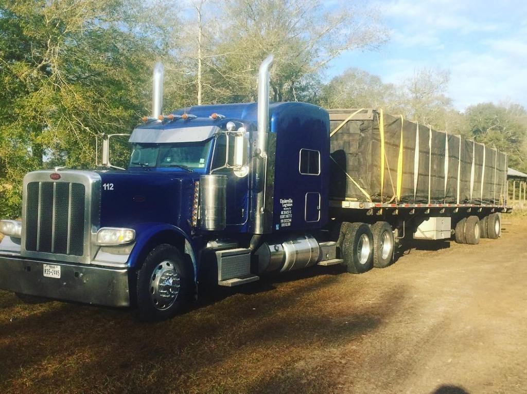 Advice From Beehive Transport Drivers